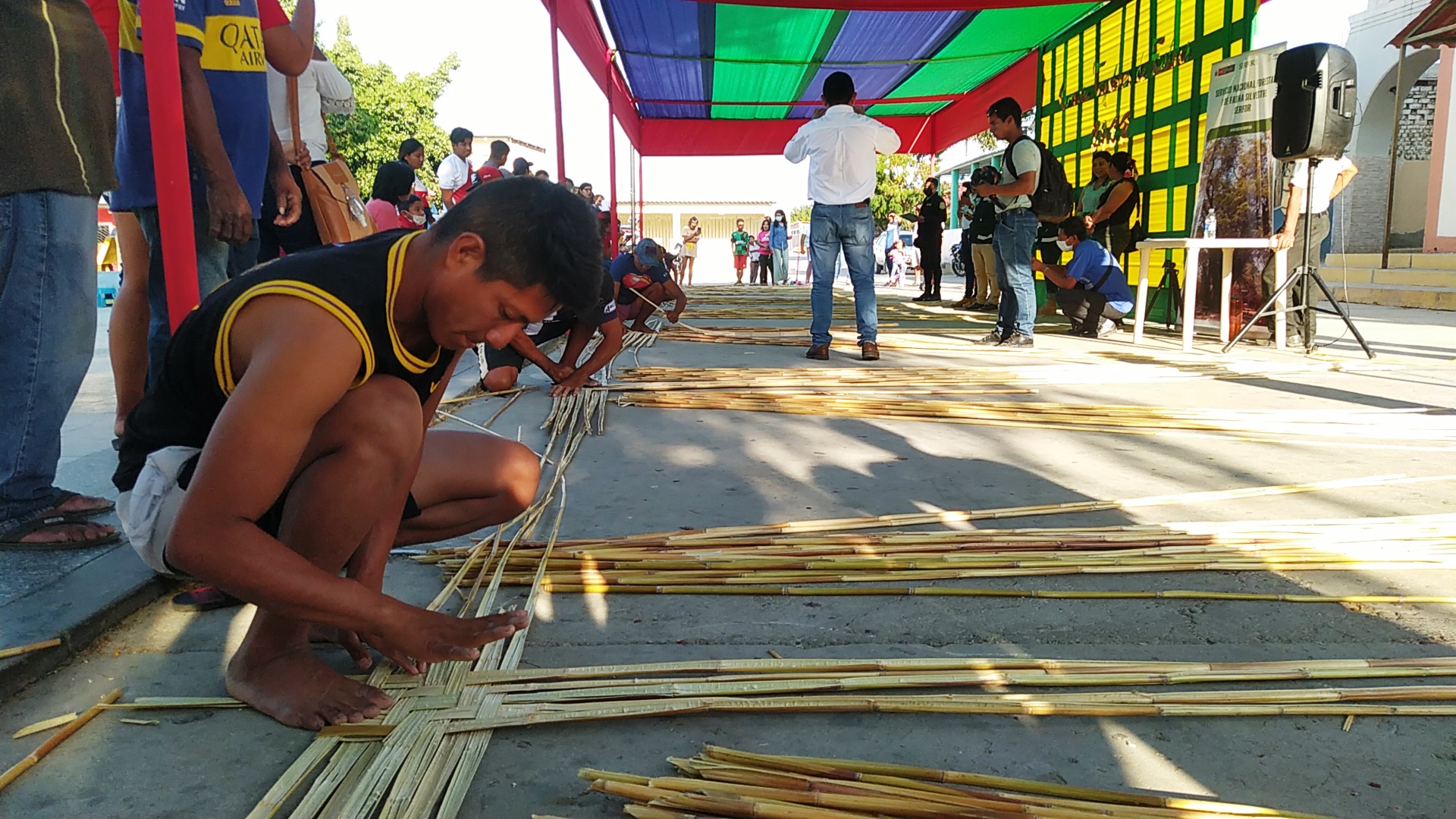 Mejora producción de esteras elaboradas en base a carrizo - Piura ...