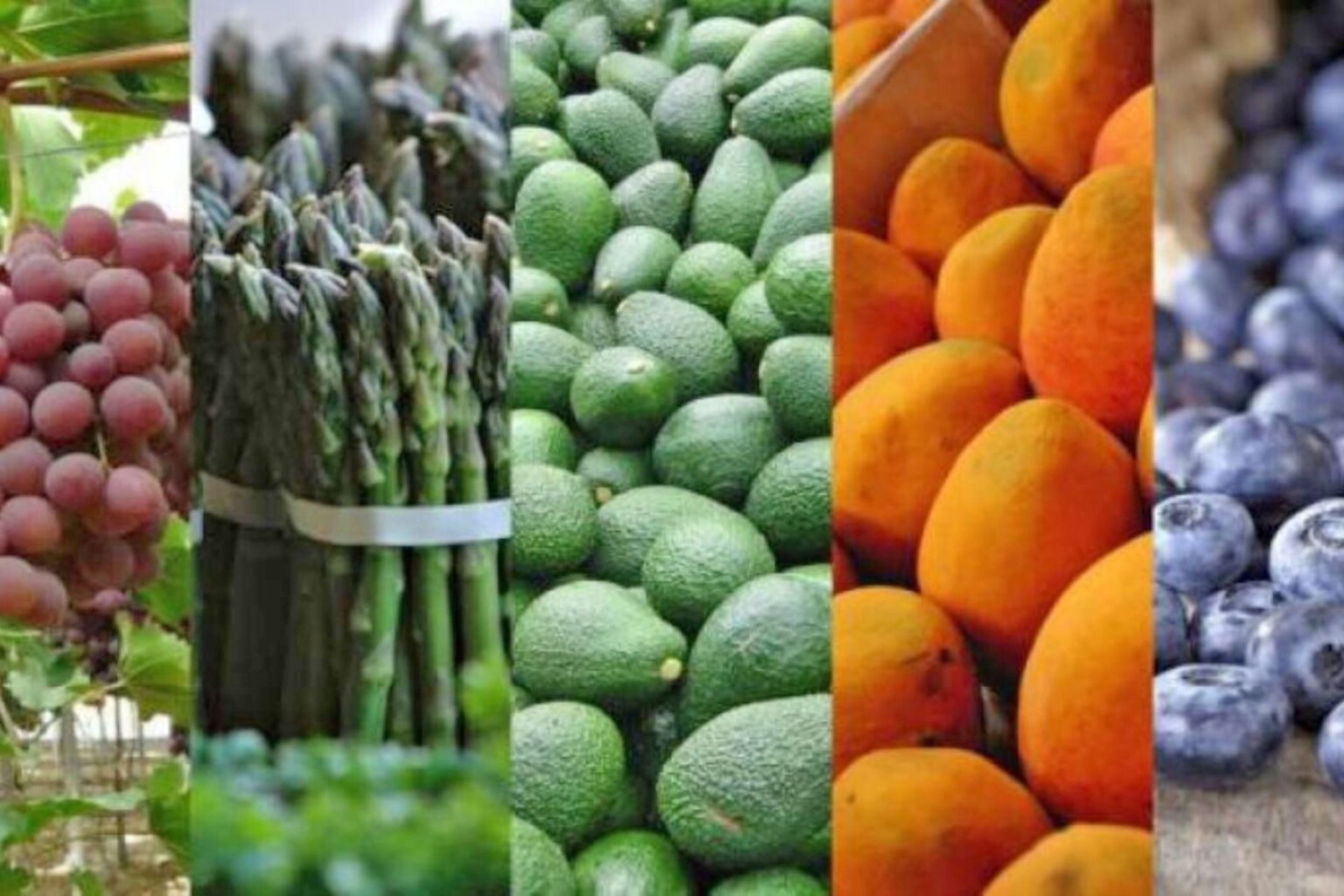 Boom agroexportador: estos son los principales productos peruanos que ...