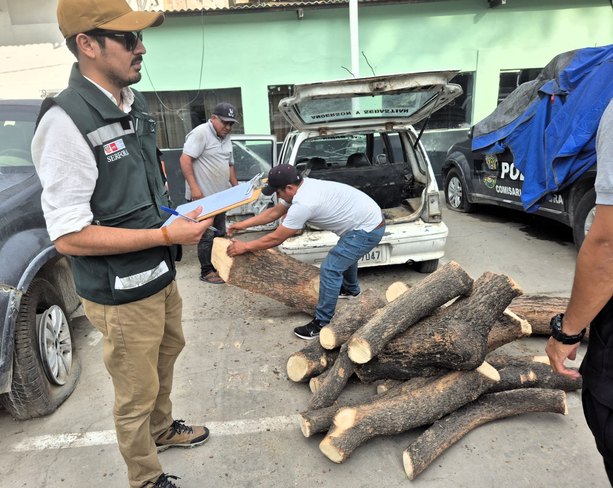 Serfor decomisa leña de algarrobo y trozas de sapote camufladas en ...